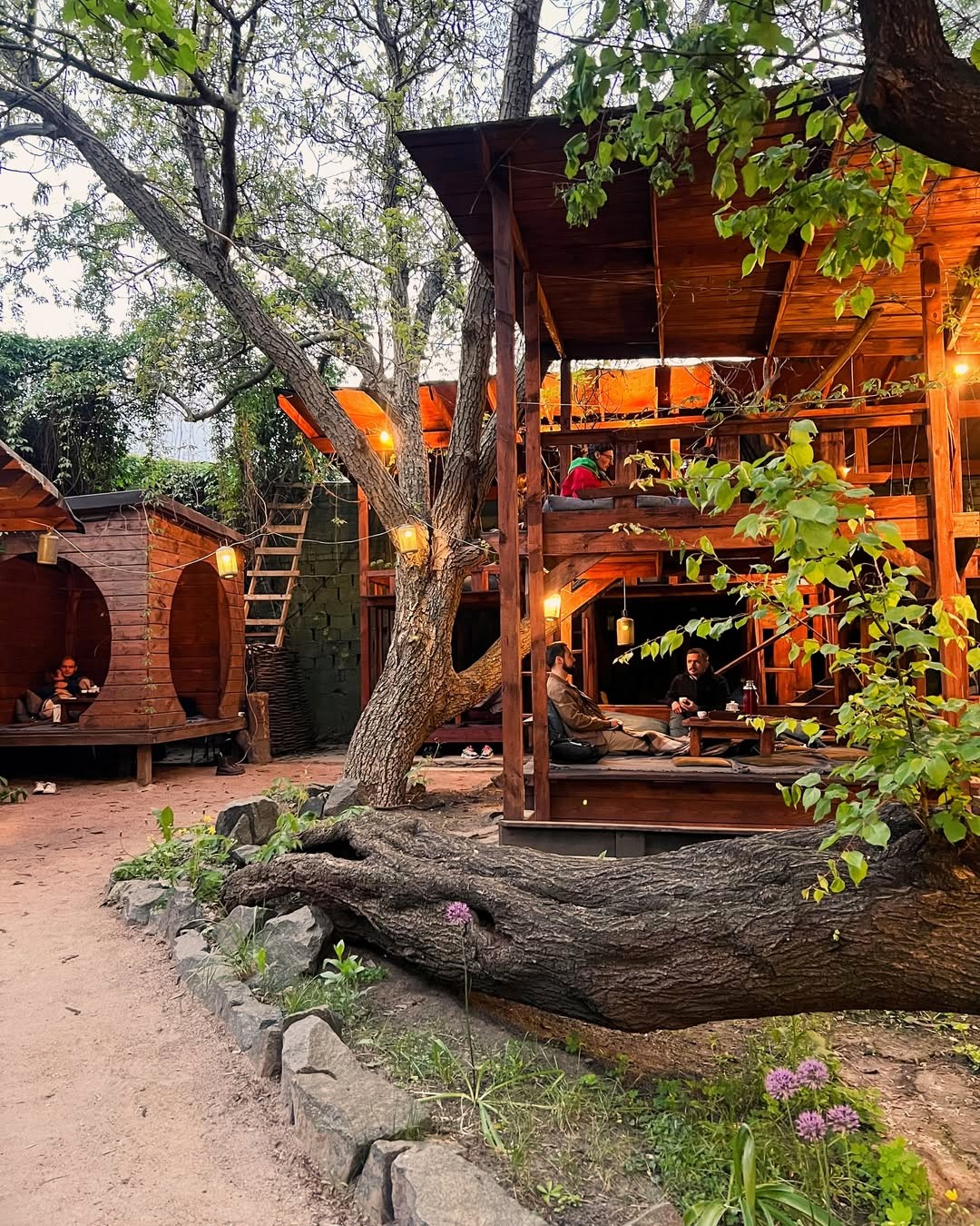 Chaguan - Cosy Teahouse in Kyiv | Visit Kyiv